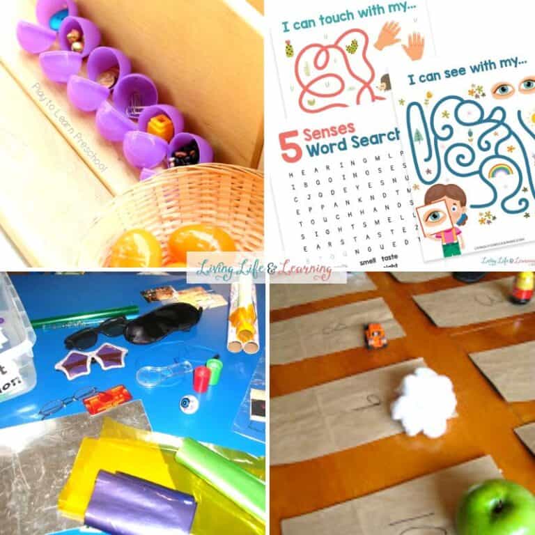 5 Senses Activities for 1st Grade