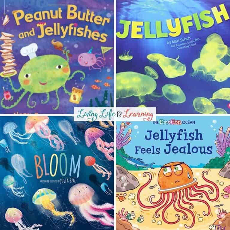 Jellyfish Books for Kindergarten