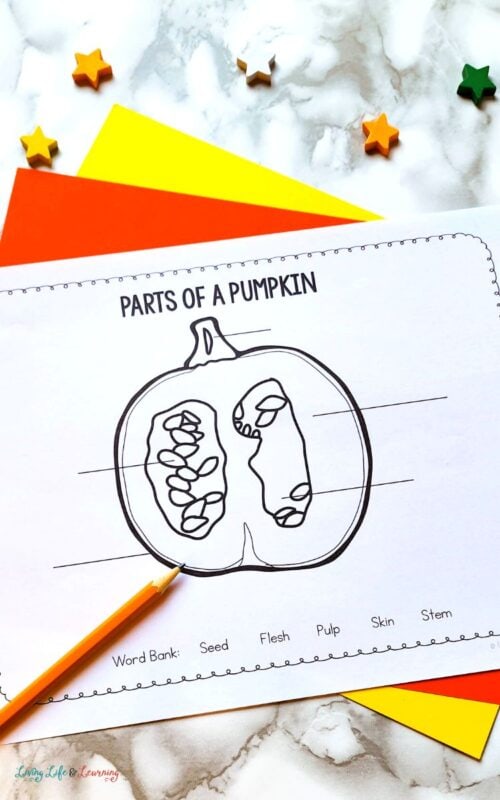 Fun Fall Activity: Parts of a Pumpkin Worksheet for Kids