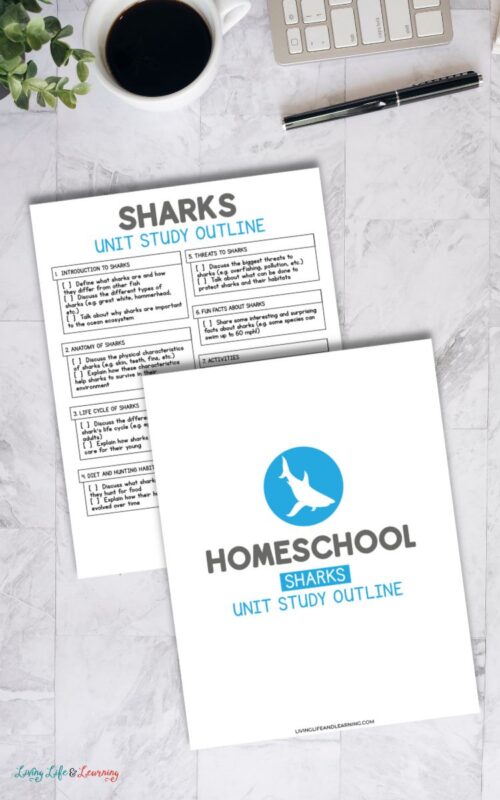 Sharks Unit Study Resources