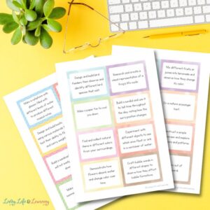 Summer STEM Challenge Cards