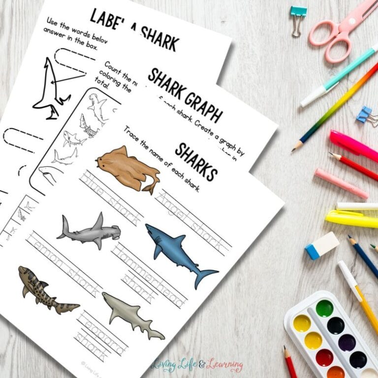 Shark Worksheets for Kindergarten
