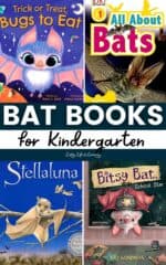 Bat Books for Kindergarten