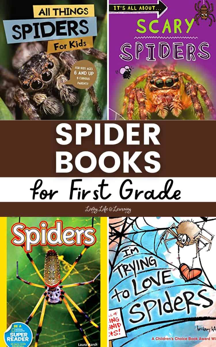 Spider Books For First Grade Spider Books For First Grade