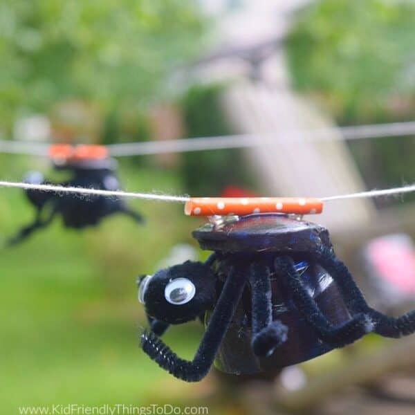 Spider Games for Kids