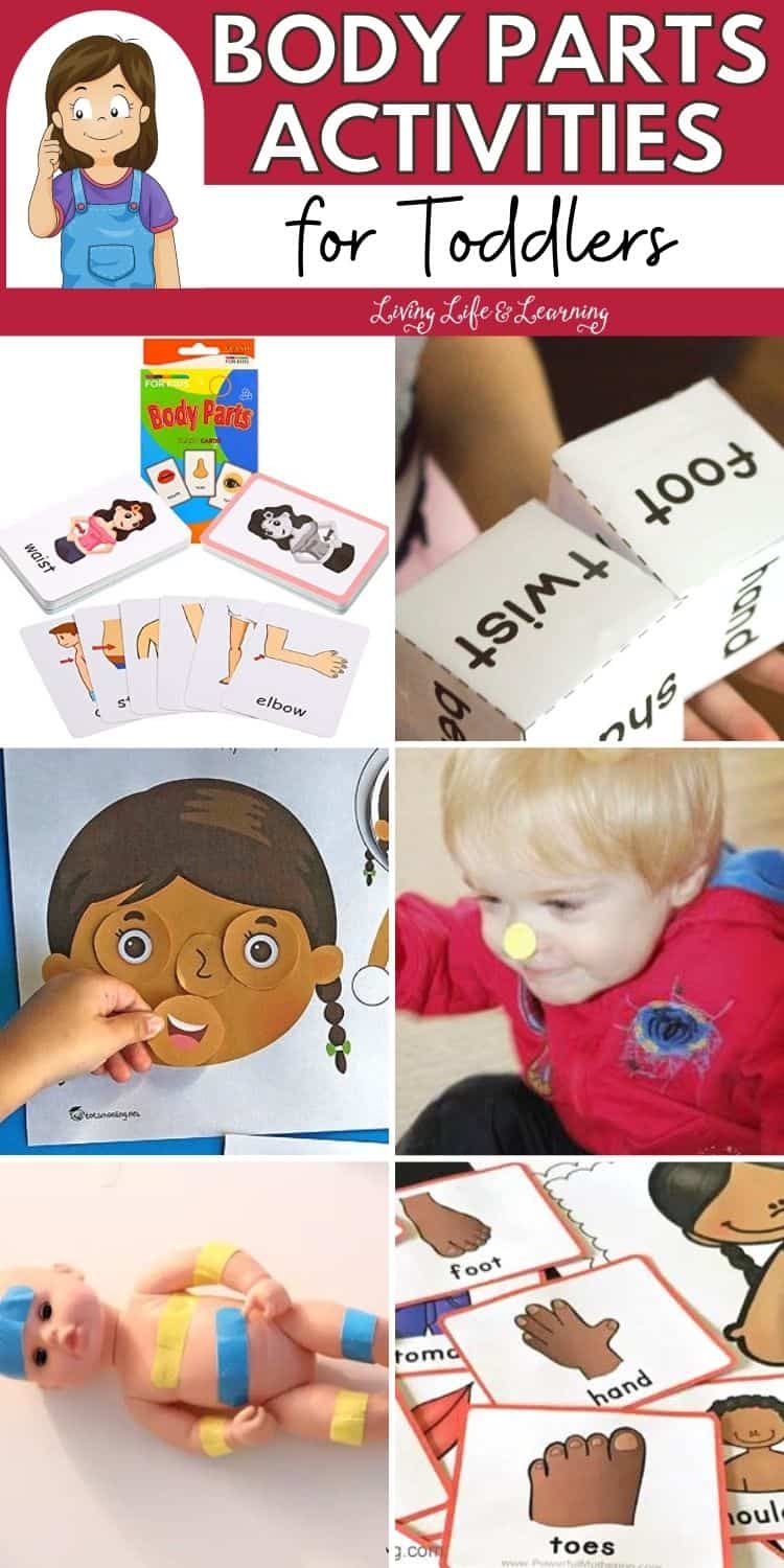 Body Parts Activities for Toddlers
