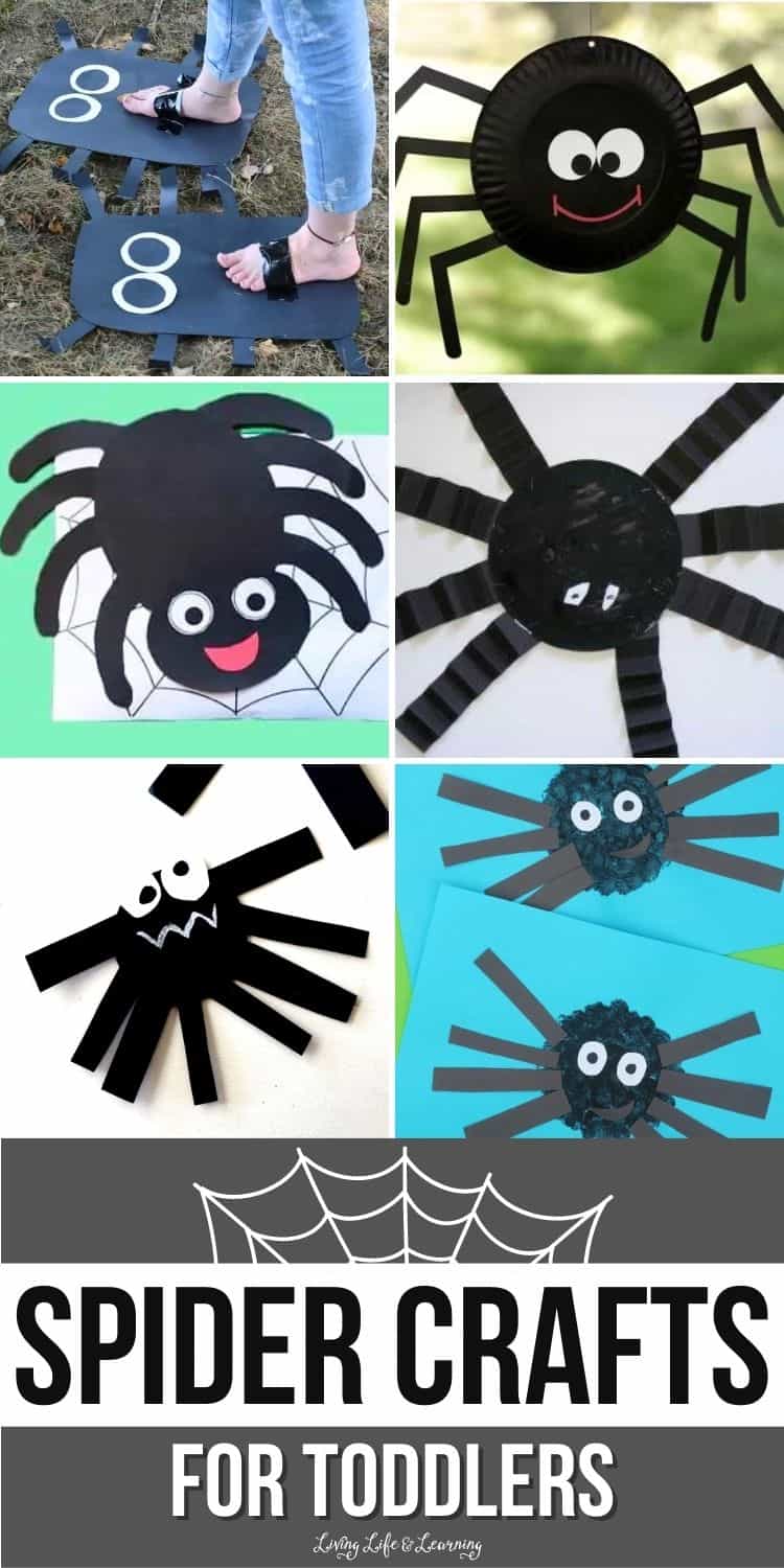 Spider Crafts for Toddlers