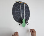 Spider STEM Activities