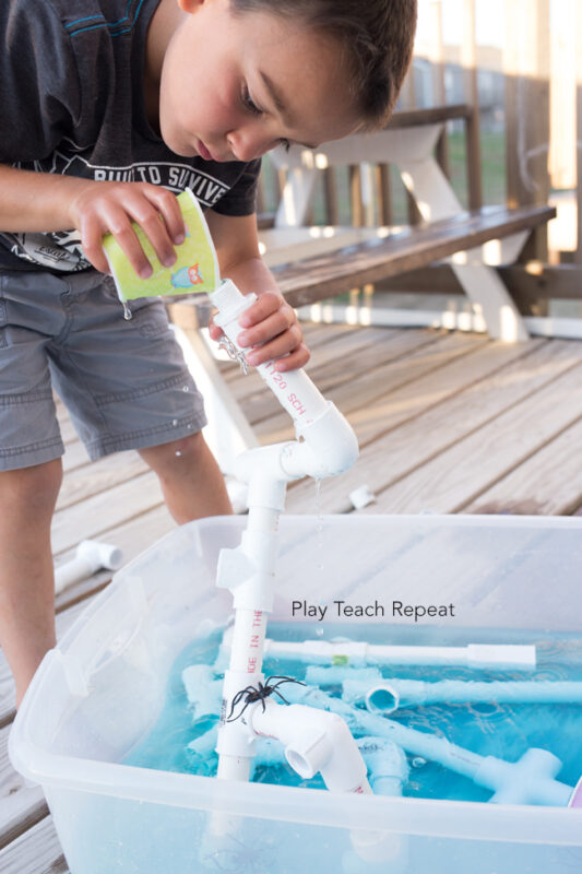 Spider STEM Activities