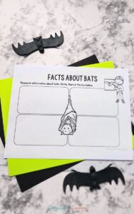 Bat Anatomy Worksheet