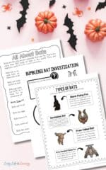 Bat Worksheets for Elementary Students