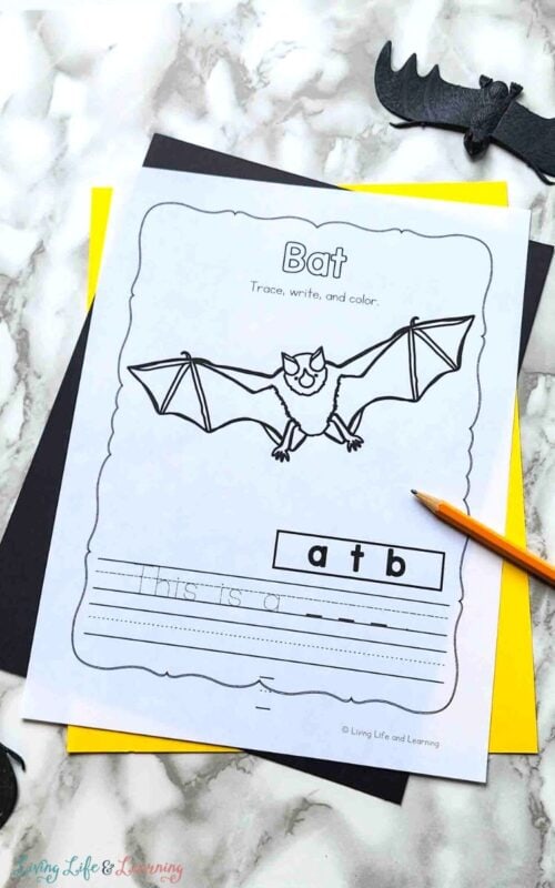 Bat Worksheets for Kindergarten