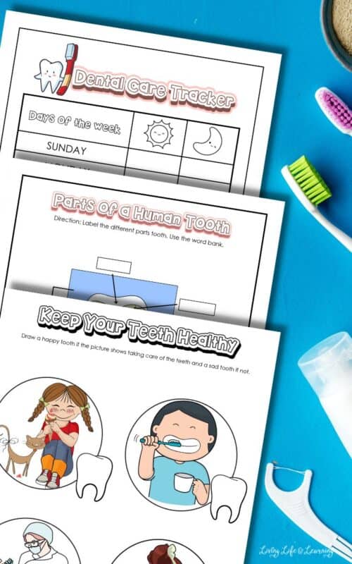 Dental Health Worksheets for 1st Grade