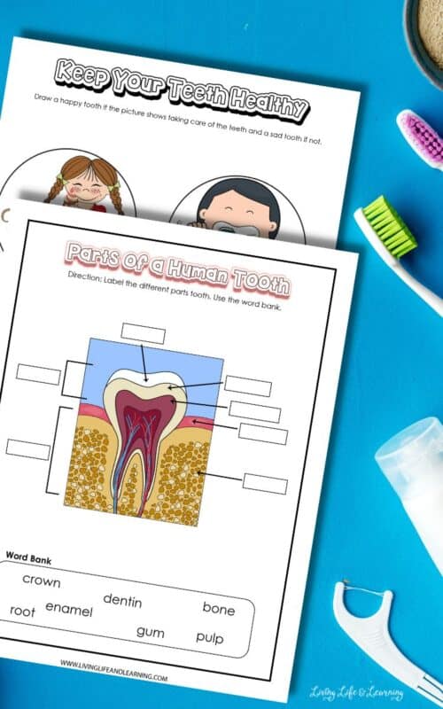 Dental Health Worksheets for 1st Grade