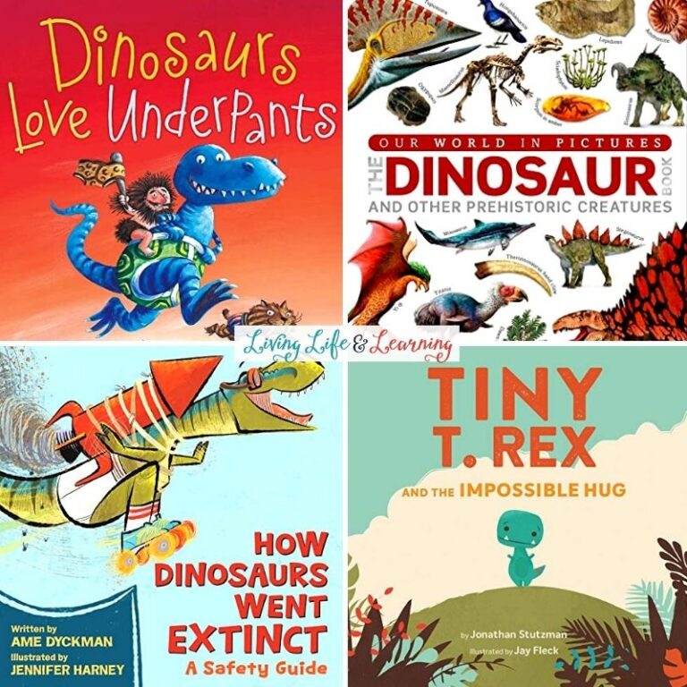 Dinosaur Picture Books
