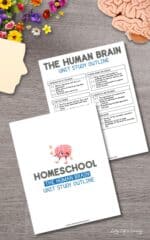 Human Brain Unit Study Resources