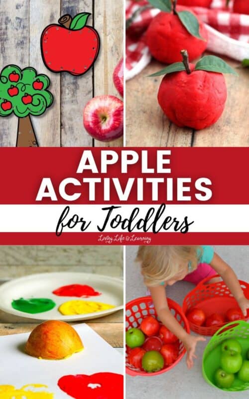 Apple Activities for Toddlers: Explore and Learn