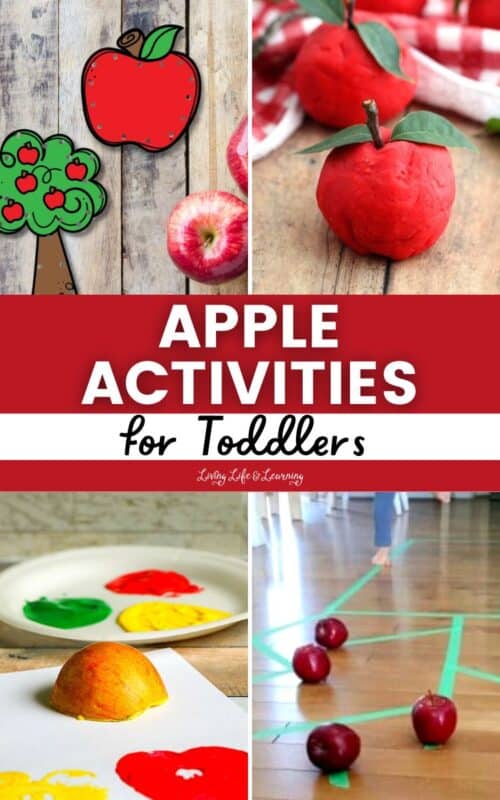 Apple Activities for Toddlers
