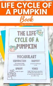 Life Cycle of a Pumpkin Book