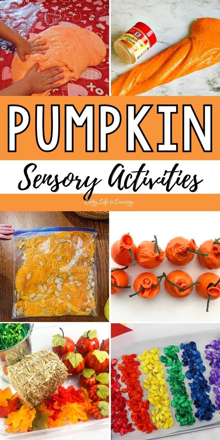 Pumpkin Sensory Activities