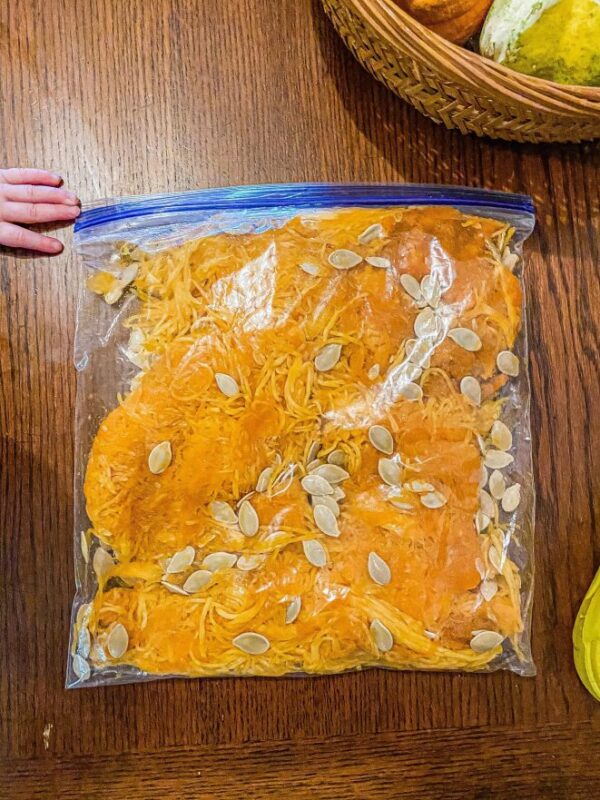 Pumpkin Sensory Activities