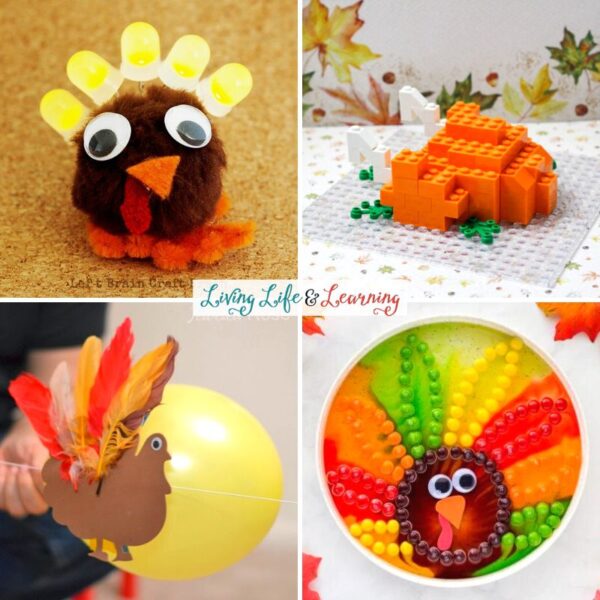 Turkey STEM Activities
