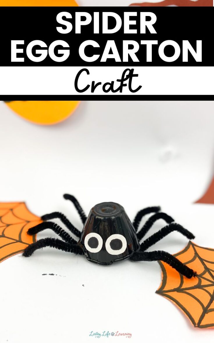 Spider Egg Carton Craft