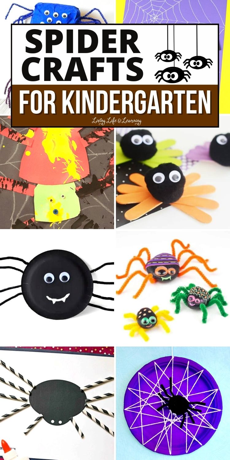 Spider Crafts for Kindergarten