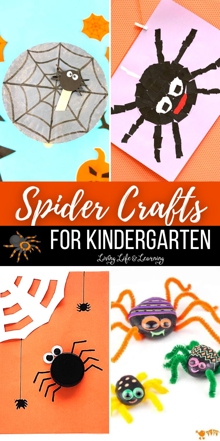 Spider Crafts for Kindergarten