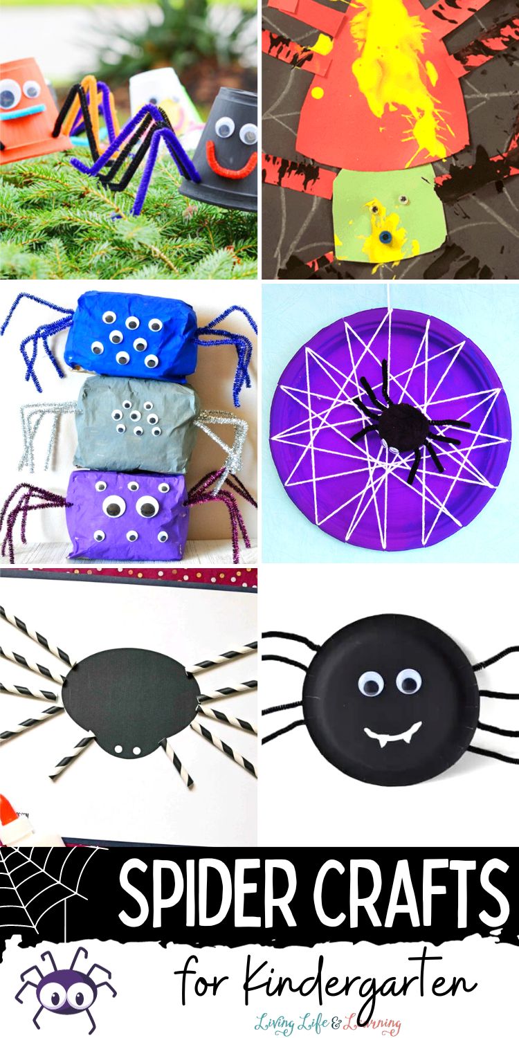Spider Crafts for Kindergarten