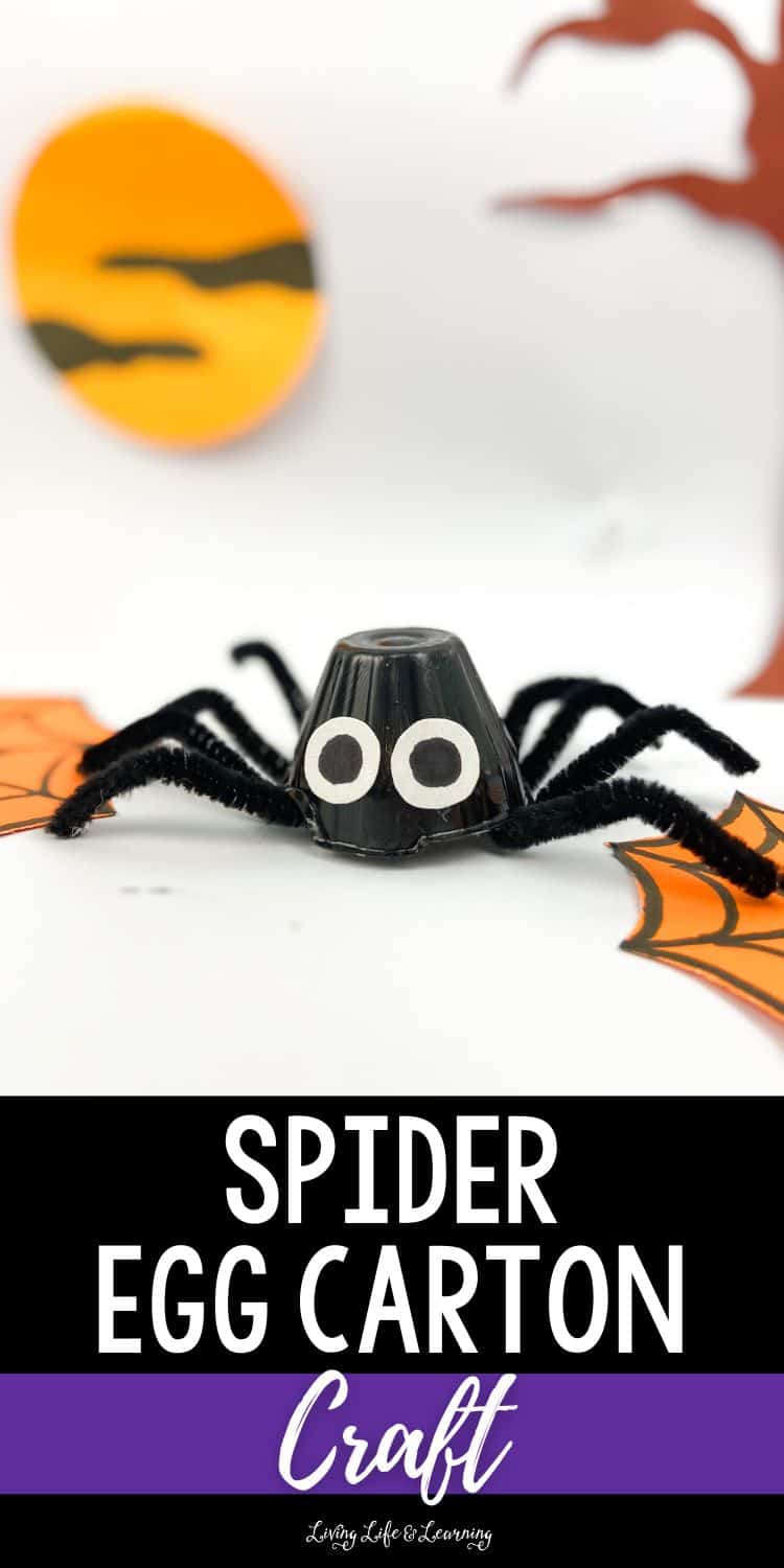 Spider Egg Carton Craft