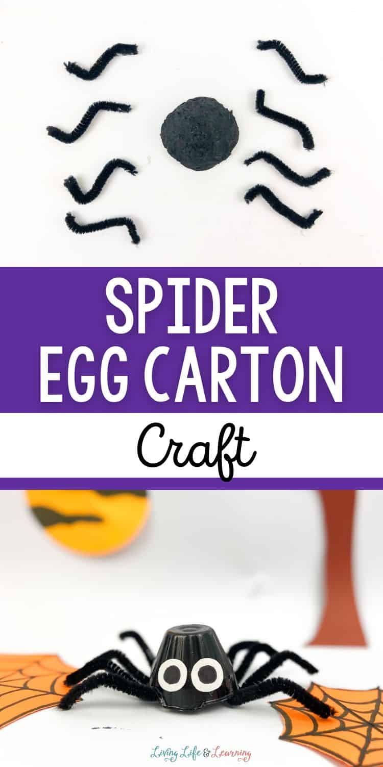 Spider Egg Carton Craft