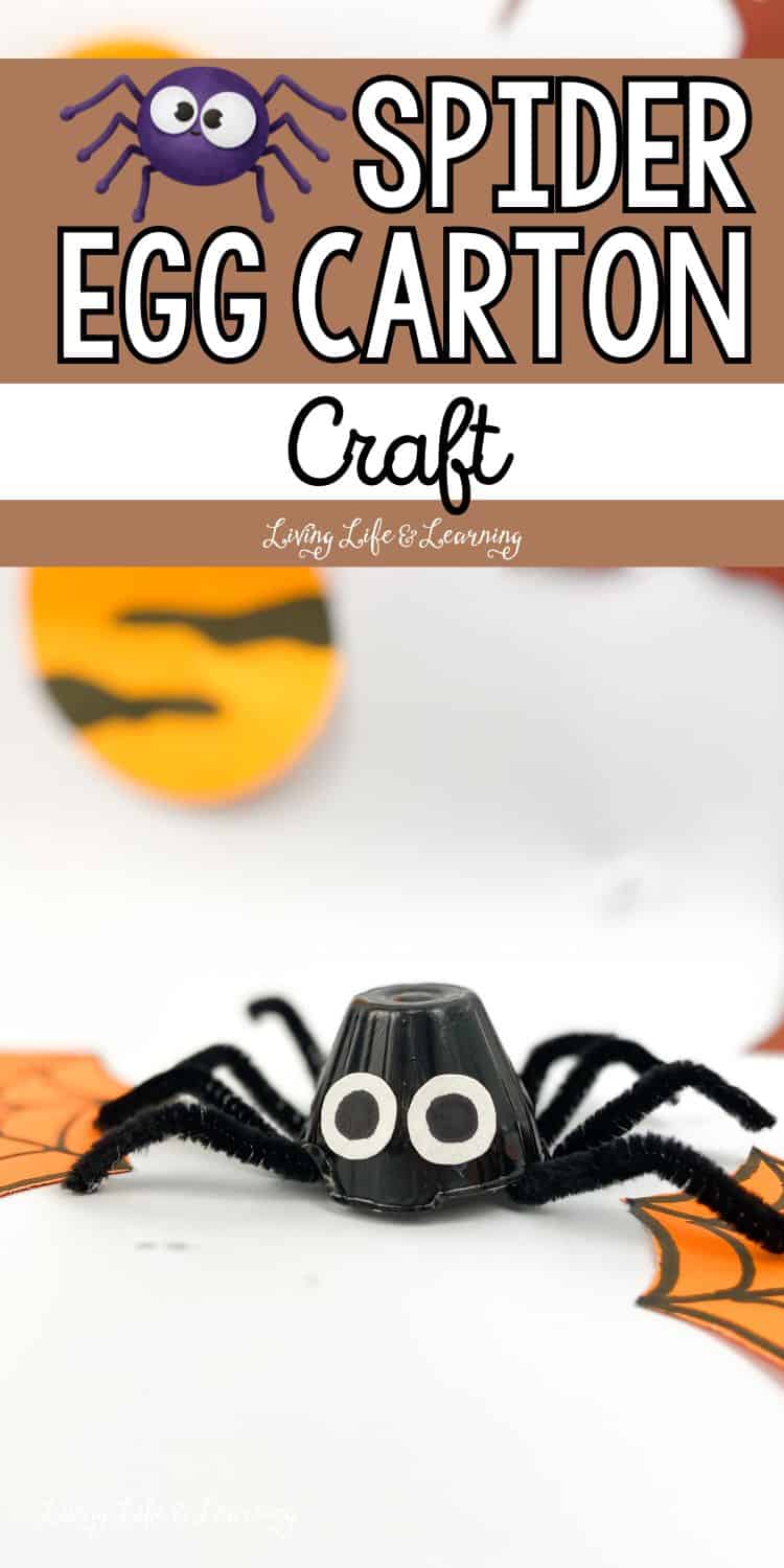 Spider Egg Carton Craft