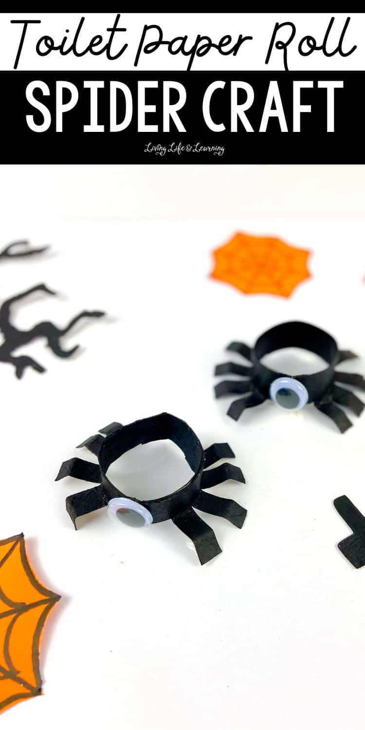 Toilet Paper Roll Spider Craft