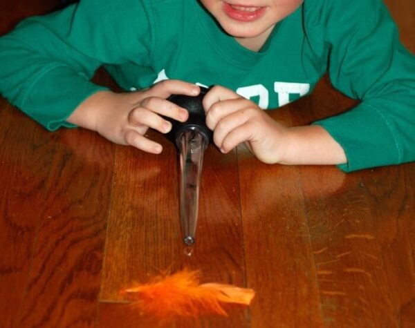 Turkey STEM Activities