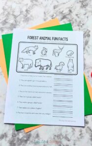 Forest Animals Worksheets