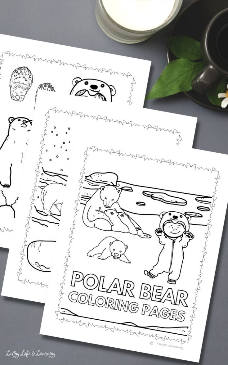 Polar Bear Coloring Pages