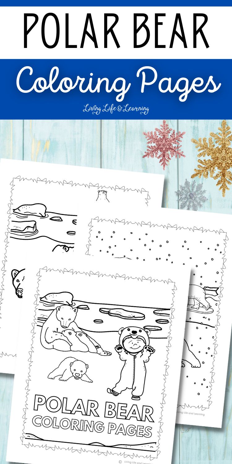 Polar Bear Coloring Pages: Fun and Education Combined