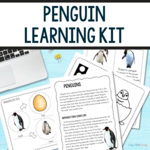 Penguin Life Cycle for Kids: Explore Animal Science