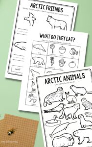 Arctic Animals Worksheets for Preschool