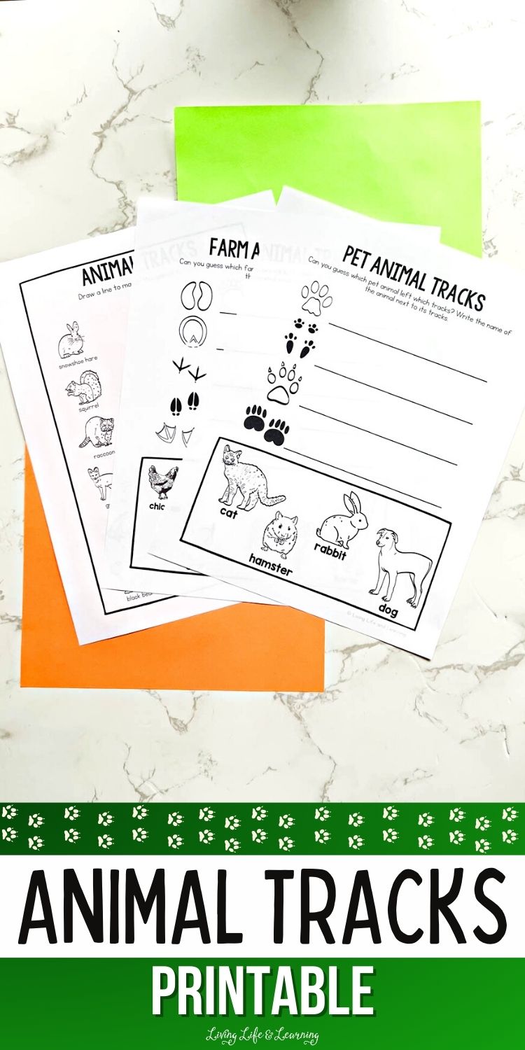 Animal Tracks Printable