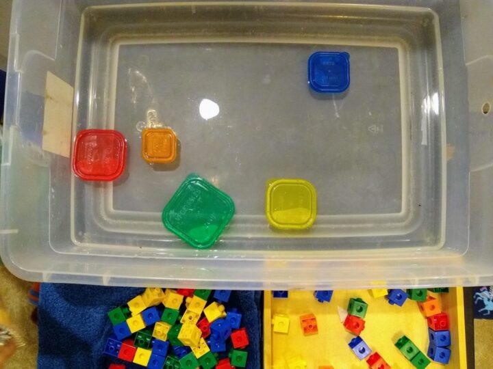 Polar Bear Science Activities