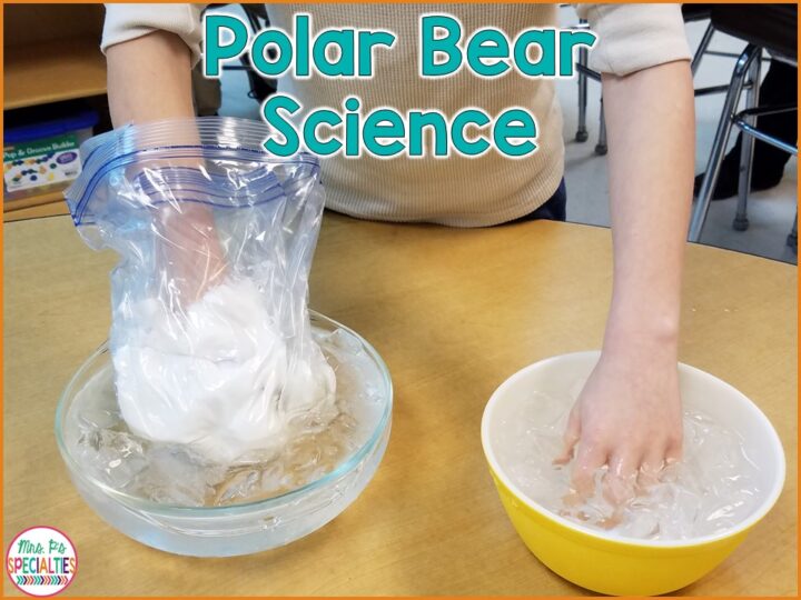 Polar Bear Science Activities