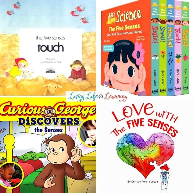 5 Senses Picture Books for Kids