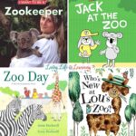 Zoo Books for Kindergarten