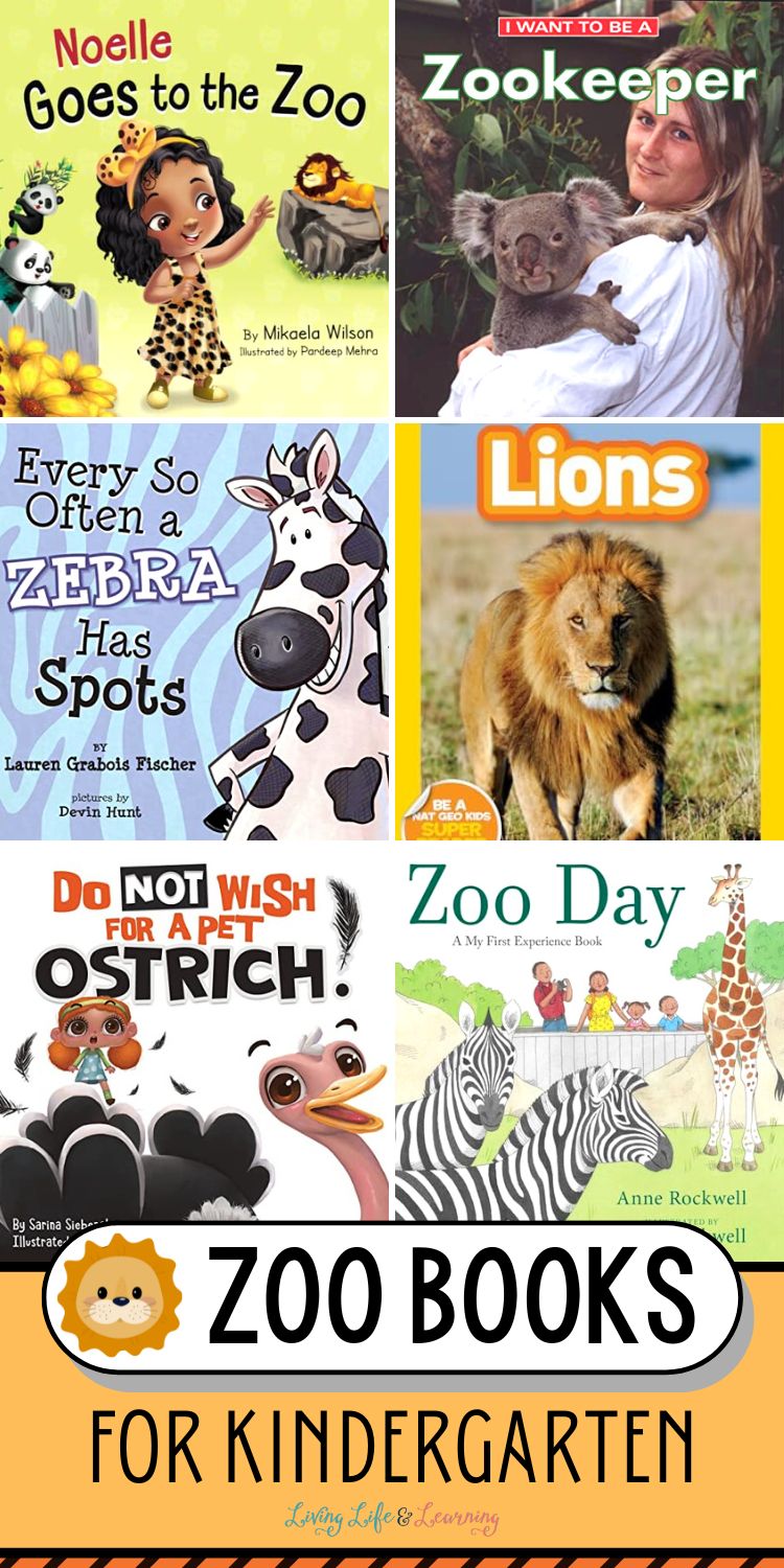 Zoo Books for Kindergarten