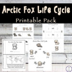 Arctic Animals STEM Activities