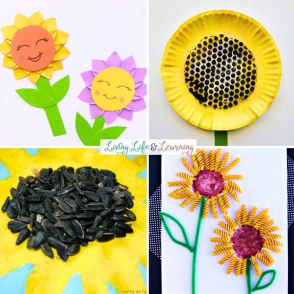 Sunflower Activities for Toddlers