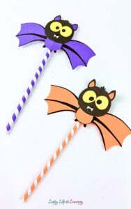 Flying Bat Craft