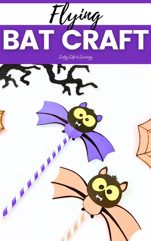 Flying Bat Craft